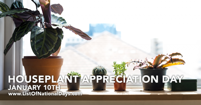 JANUARY 10TH HOUSEPLANT APPRECIATION DAY