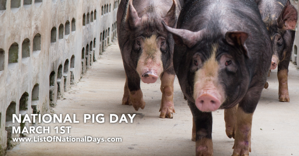 NATIONAL PIG DAY - List Of National Days