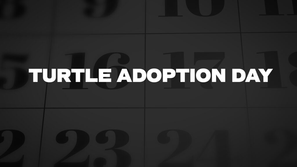 TURTLE-ADOPTION-DAY - List Of National Days
