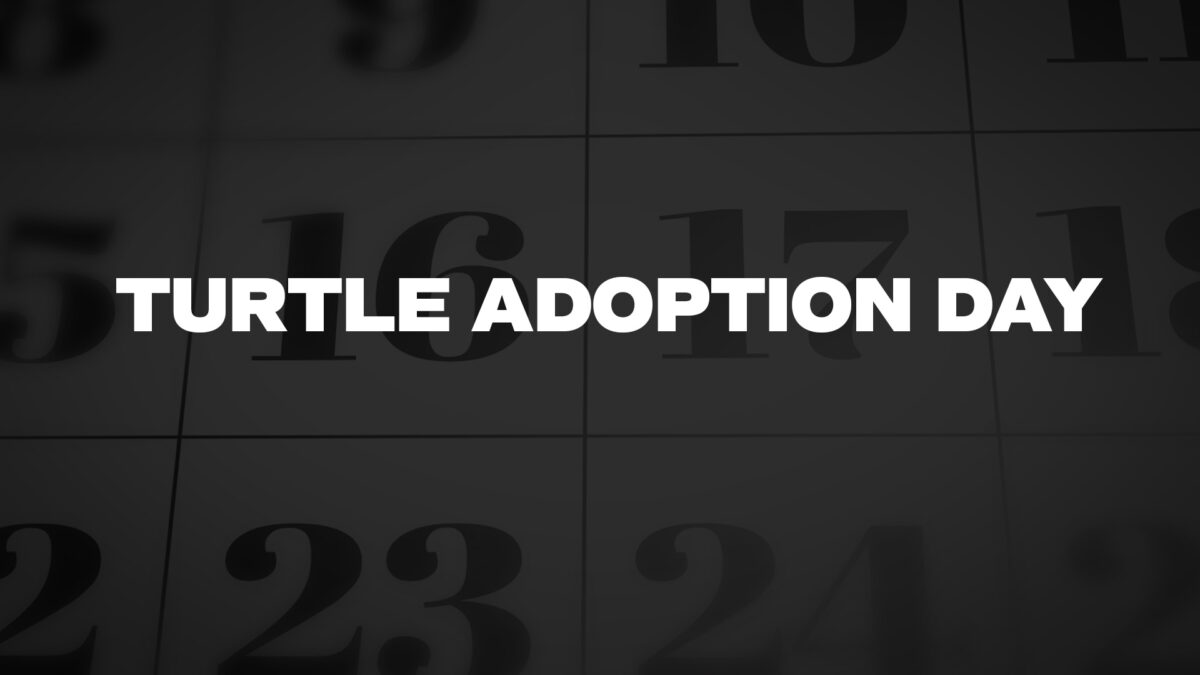 TURTLE-ADOPTION-DAY - List Of National Days