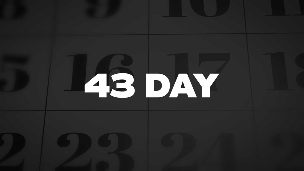 43 Day - Ken Block Day