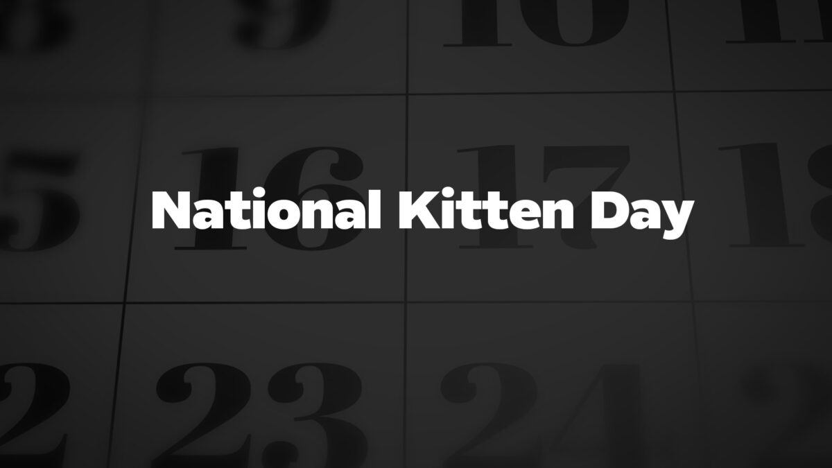 National-Kitten-Day - List Of National Days