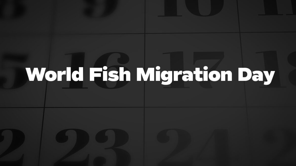 World-Fish-Migration-Day - List Of National Days
