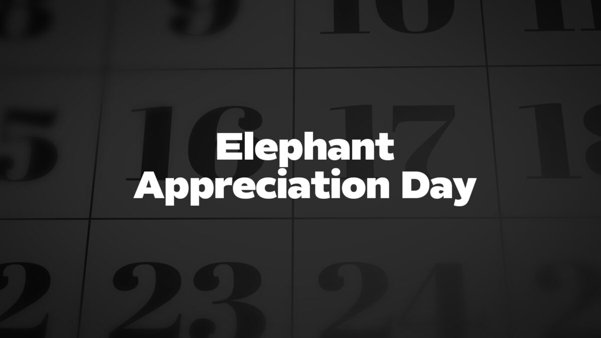 Elephant Appreciation Day - List of National Days