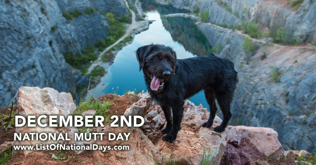 National Mutt Day - List of National Days